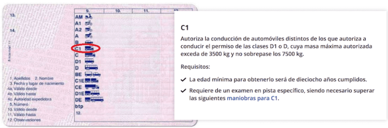 Tipos de carnet de conducir: moto, coche, camión y autobús